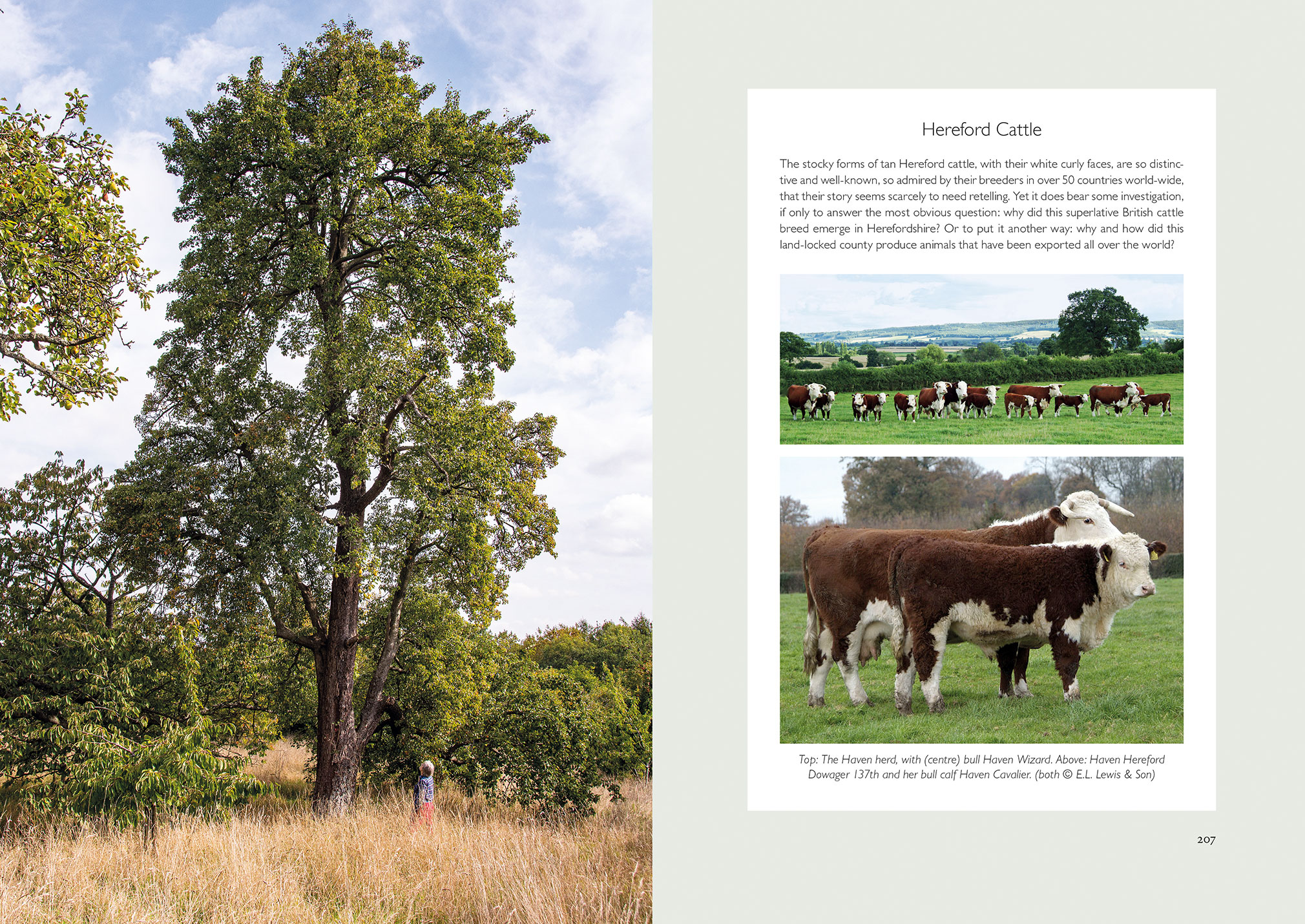 Herefordshire Farming through Time: Fellers, Tillers and Cider Makers ...